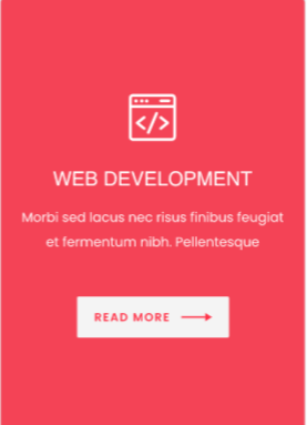 Web Developer Assignment